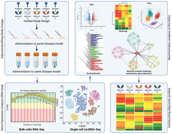 Transcriptional Systems Vaccinology Approaches for Vaccine Adjuvant Profiling