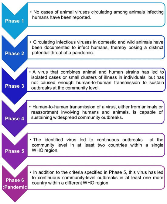 Exploring Future Pandemic Preparedness Through the Development of ...