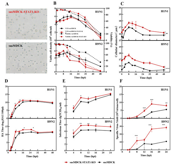 Insights into IAV Replication and Lipid Metabolism in Suspension ...