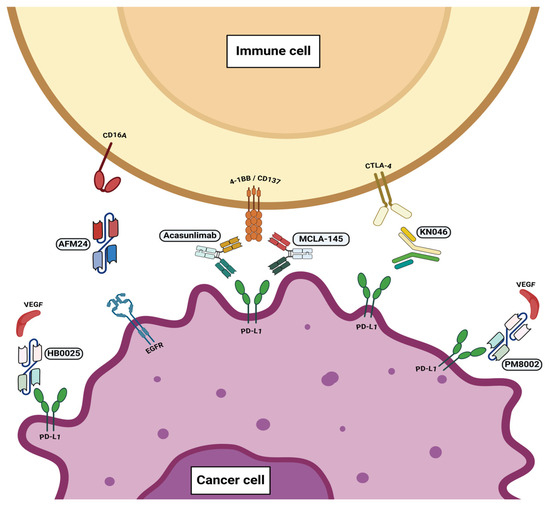 Emerging Immunotherapies for Advanced Non-Small-Cell Lung Cancer