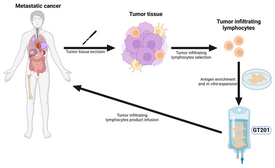 Emerging Immunotherapies for Advanced Non-Small-Cell Lung Cancer
