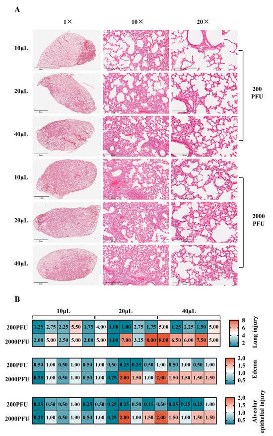 Effect of Inoculation Volume on a Mouse Model of Influenza Virus ...