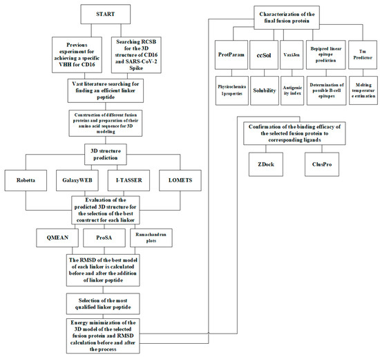 Novel sACE2-Anti-CD16VHH Fusion Protein Surreptitiously Inhibits SARS ...