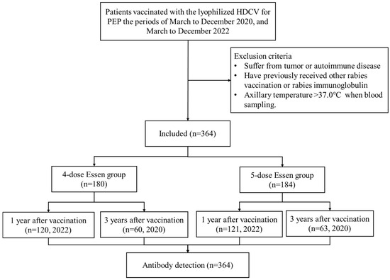 Antibody Persistence of Human Diploid Cell Rabies Vaccine Administrated ...