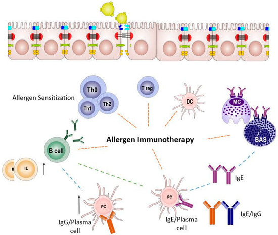 Advances in Allergen Immunotherapy and Safety