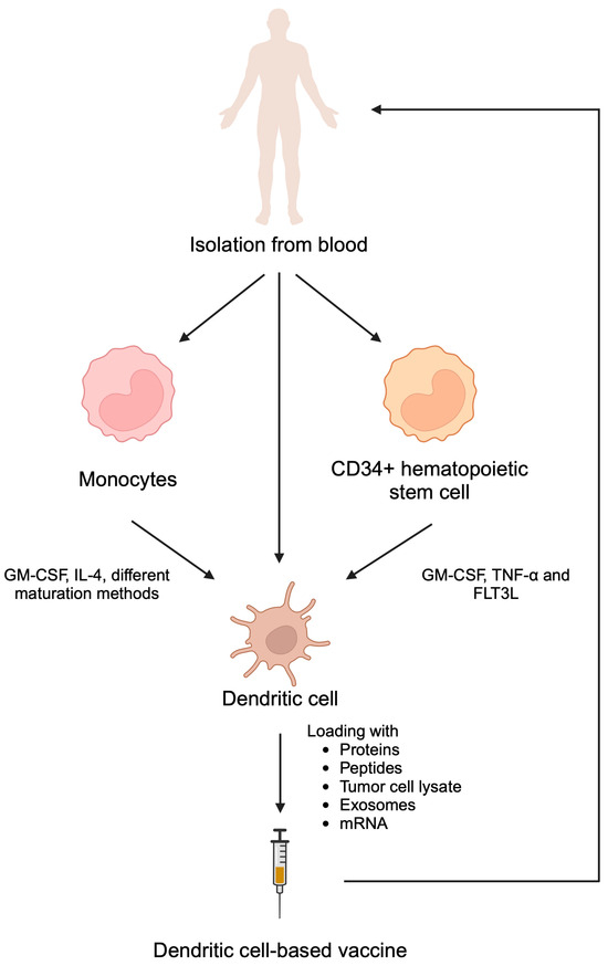 Recent Advances in the Development and Efficacy of Anti-Cancer Vaccines ...