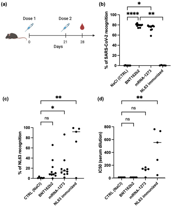 SARS-CoV-2 mRNA Vaccines Induce Cross-Reactive Antibodies to NL63 Coronavirus but Do Not Boost ...