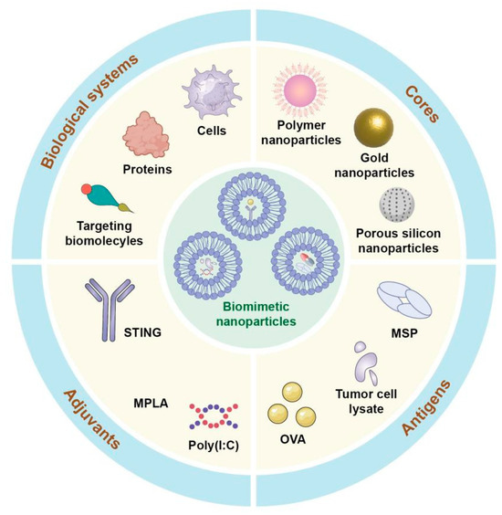 The Application of Dendritic Cells Vaccines in Tumor Therapy and Their Combination with ...