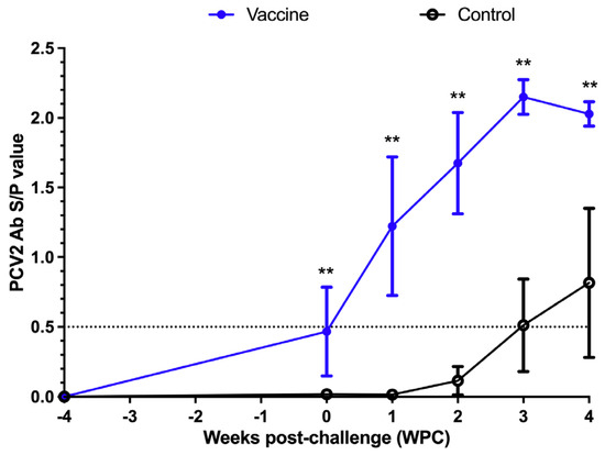 The Evaluation of a Porcine Circovirus Type 2 (PCV2) Intradermal ...