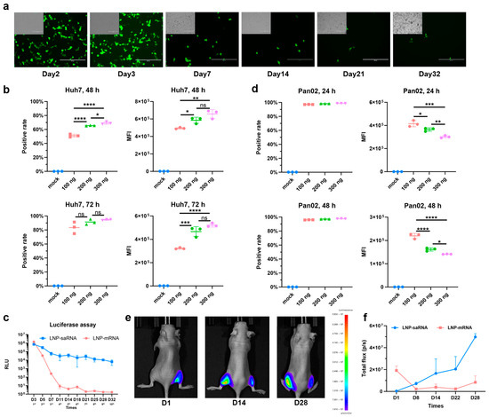 Impact of B18R-Encoding Messenger Ribonucleic Acid Co-Delivery on ...