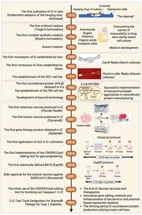 The Bioengineering of Insect Cell Lines for Biotherapeutics and Vaccine ...