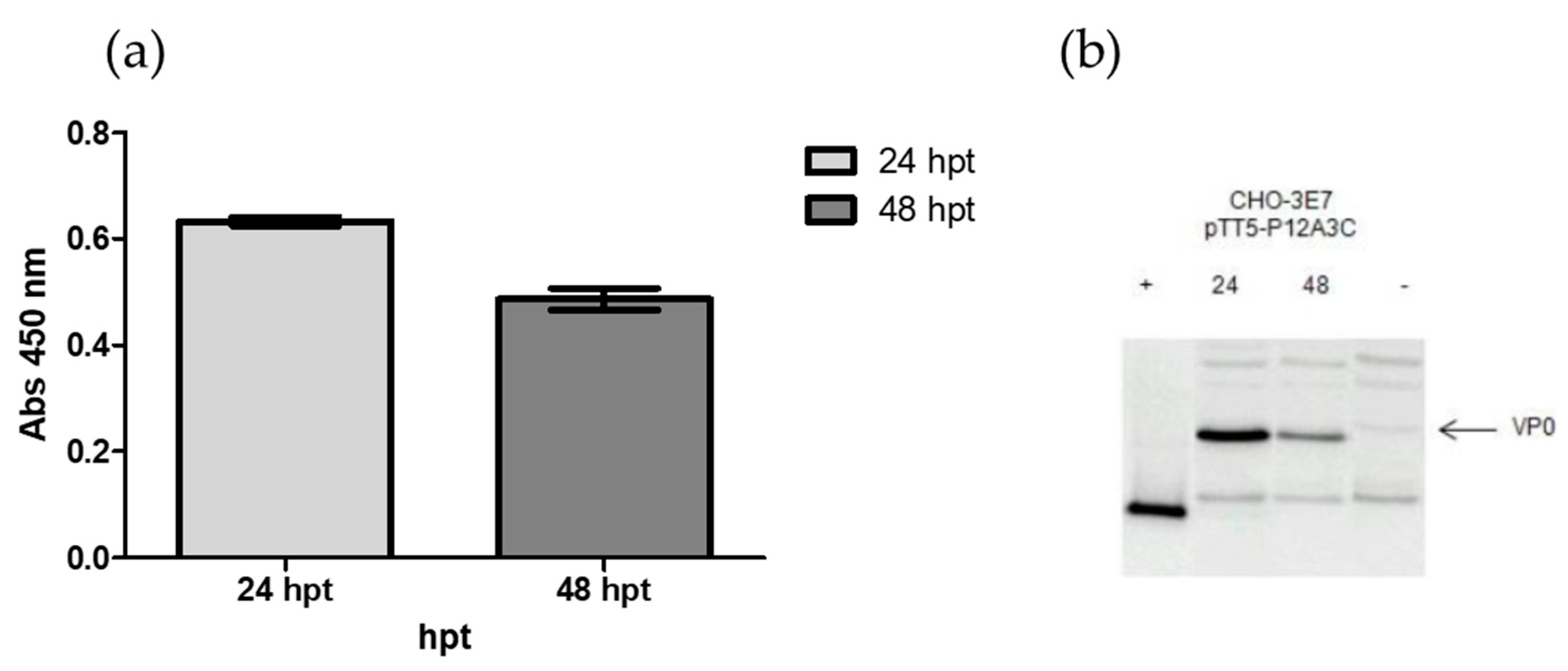 Optimized Production of Virus-like Particles in a High-CHO-Cell-Density Transient Gene ...