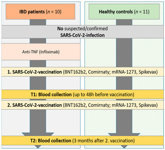 SARS-CoV-2 Variant-Specific Antibodies in Vaccinated Inflammatory Bowel ...
