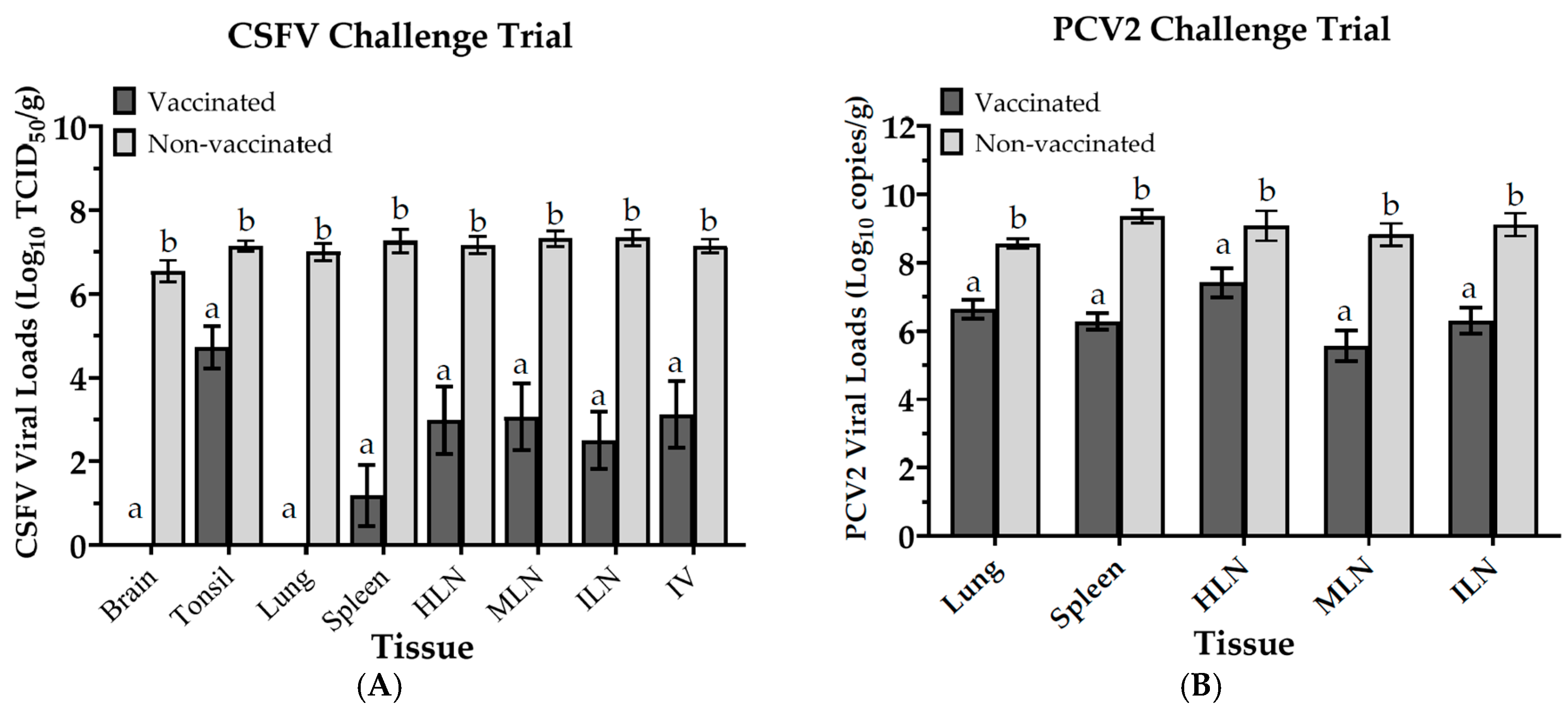 Development of an Effective Single-Dose PCV2/CSFV Bivalent Subunit Vaccine Against Classical ...