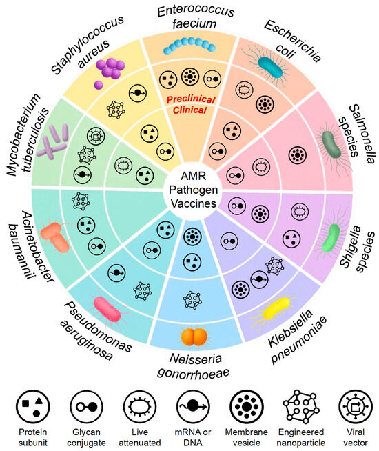 The Central Importance of Vaccines to Mitigate the Threat of Antibiotic ...