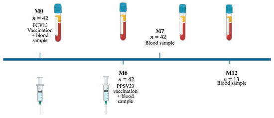 Evaluation of T-Cell Responses Following Sequential Vaccination with ...