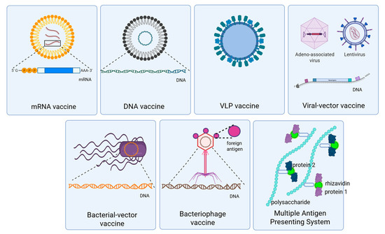 Advances in Biotechnology and the Development of Novel Human Vaccines