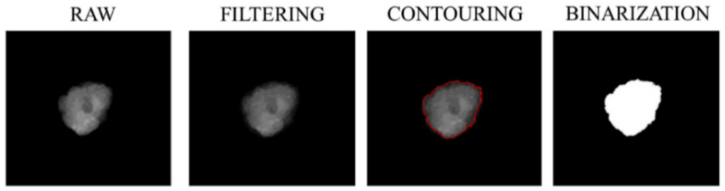 Detecting the Flame Front Evolution in Spark-Ignition Engine under Lean ...
