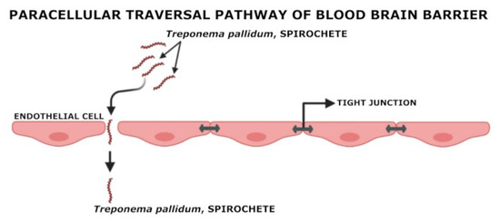 Venereology | An Open Access Journal from MDPI