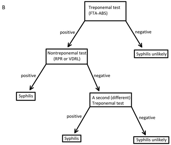 Secondary Syphilis: Pathophysiology, Clinical Manifestations, and ...