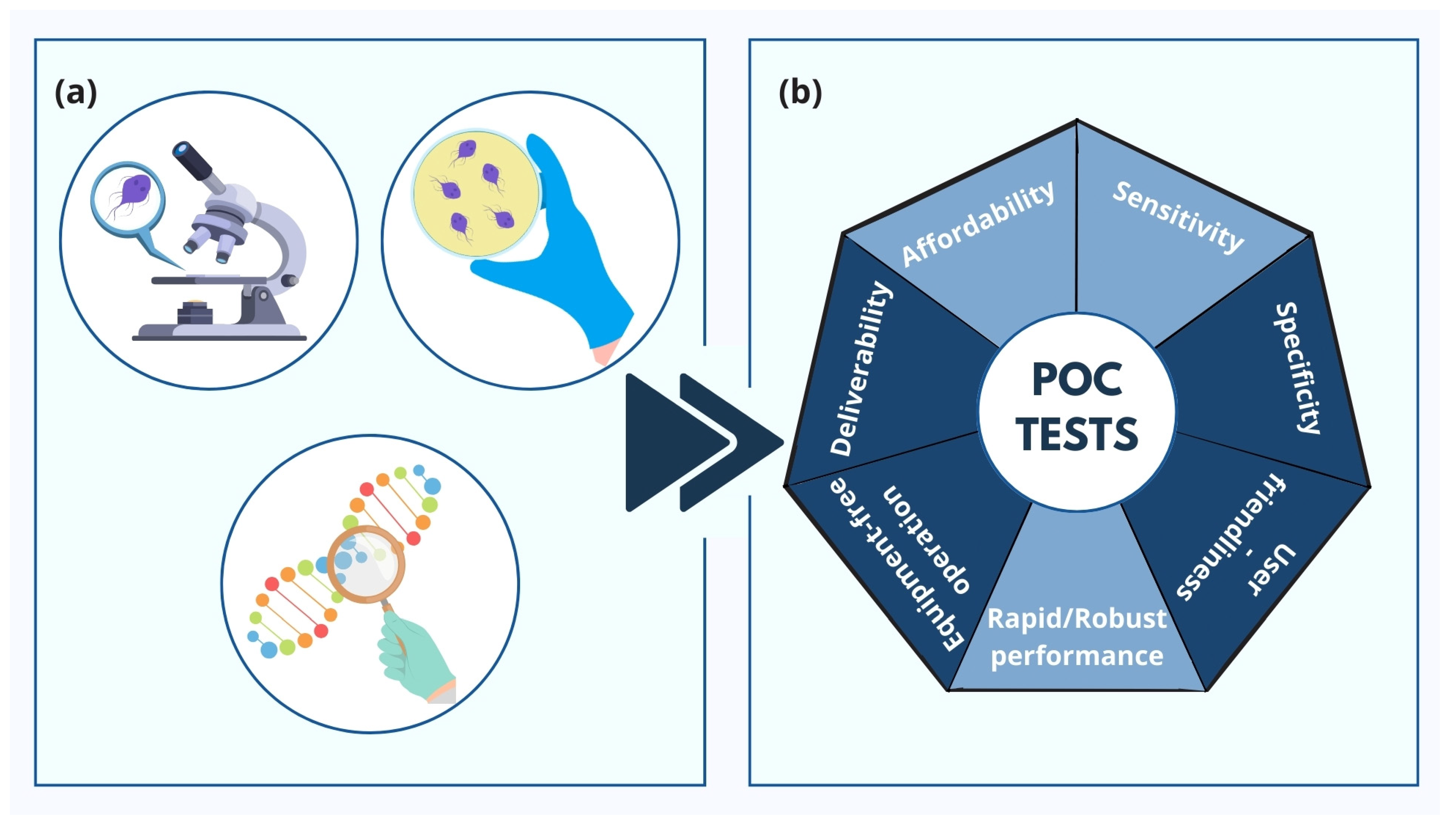 Point-of-Care Assays to Trichomonas vaginalis Diagnosis: The Road So Far