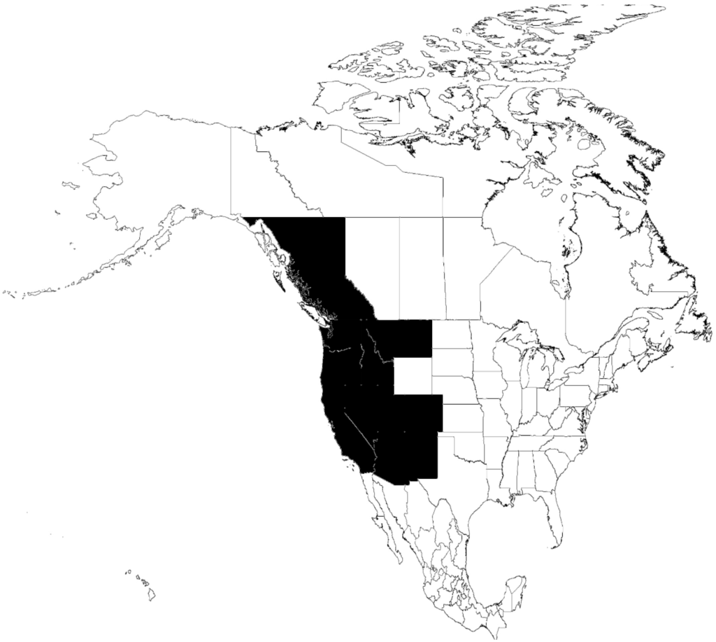 Veterinary Sciences | Free Full-Text | Tick-Borne Relapsing Fever ...