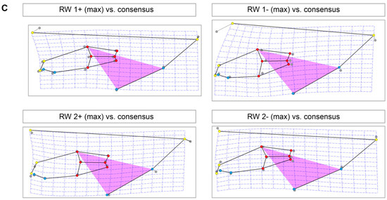 Shape Variation in the Craniomandibular System and Prevalence of Dental ...