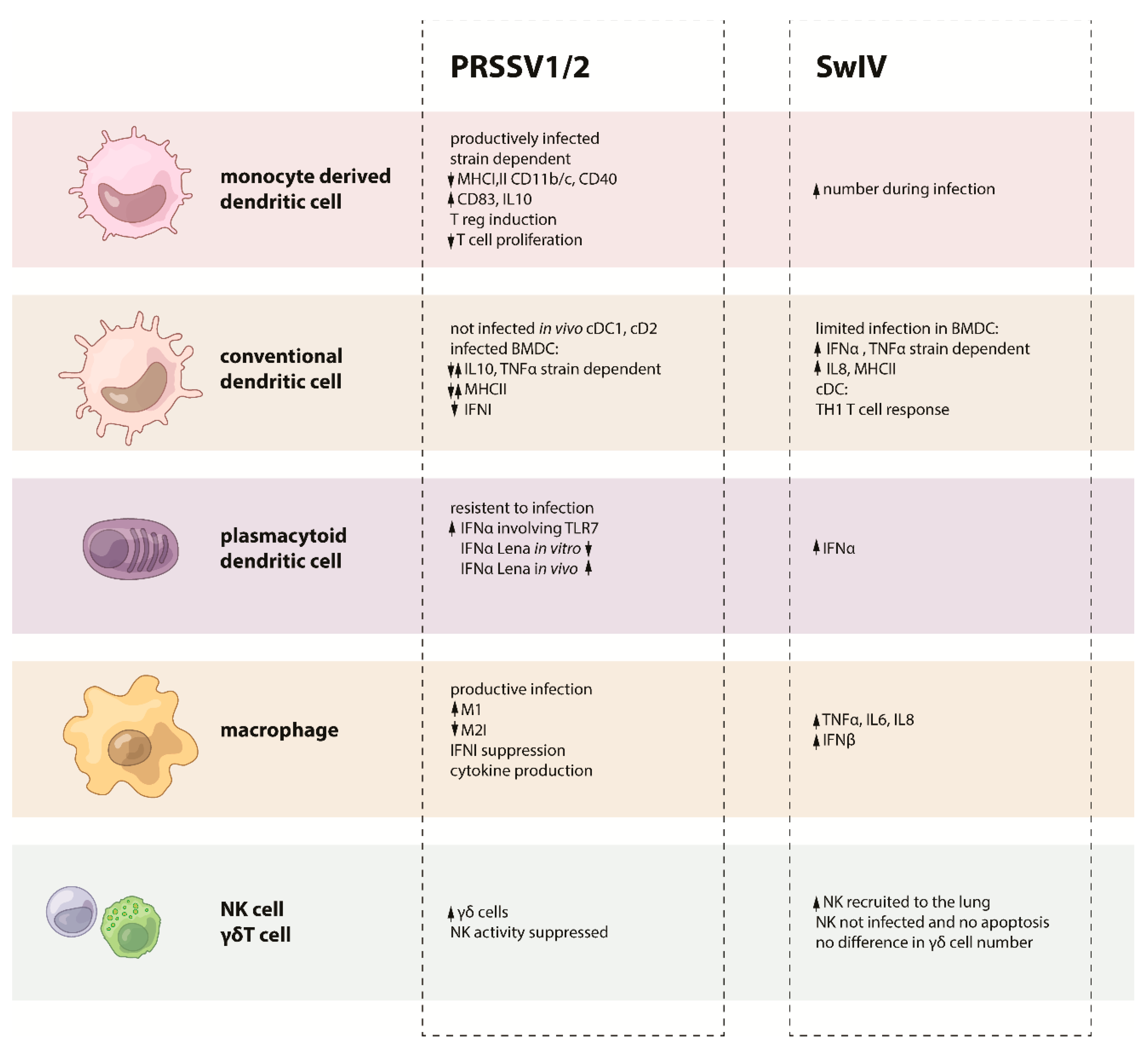 Veterinary Sciences Free Full Text Cellular Innate Immunity Against