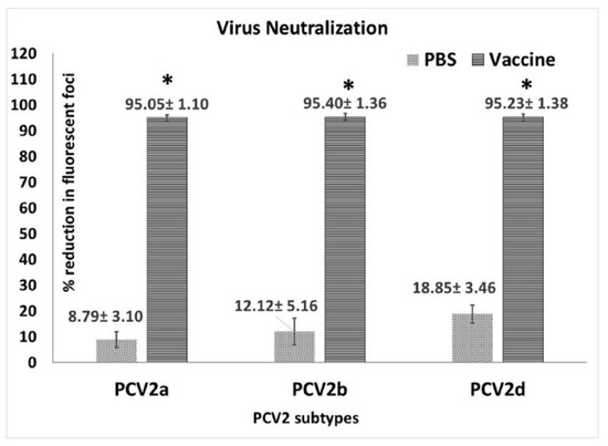 Efficacy of a Commercial PCV2a Vaccine with a Two-Dose Regimen Against ...