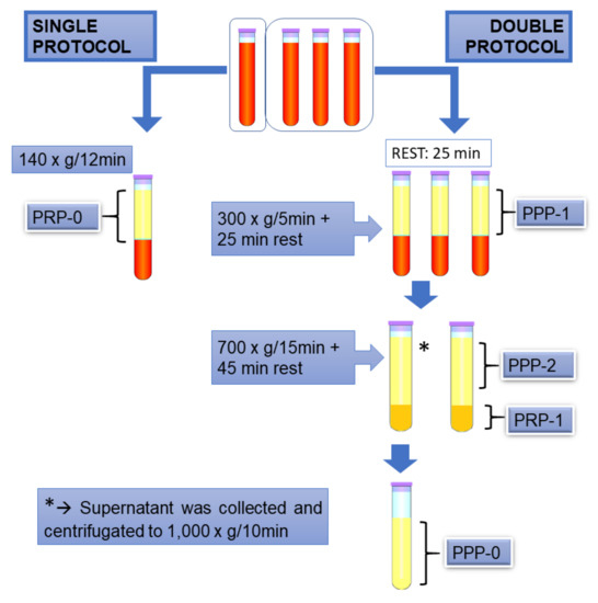 Does Double Centrifugation Lead to Premature Platelet Aggregation and ...
