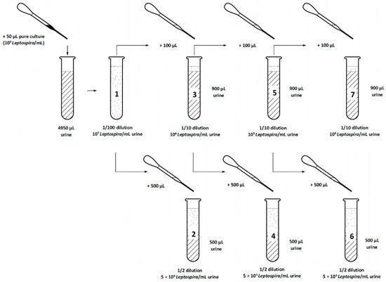 Influence of Selective Agents (EMJH-STAFF), Sample Filtration and pH on ...