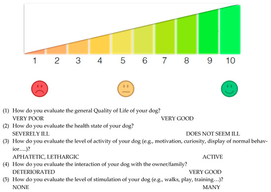 The Impact of Chronic Inflammatory Enteropathy on Dogs’ Quality of Life ...