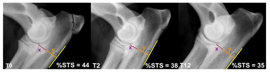 Veterinary Sciences | Special Issue : Advances in Orthopaedic and ...