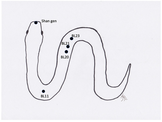 Acupuncture and Traditional Chinese Veterinary Medicine in Zoological ...