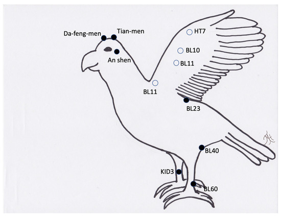 Acupuncture and Traditional Chinese Veterinary Medicine in Zoological ...