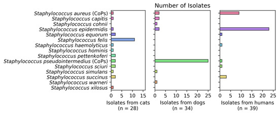 Isolation and Identification of Staphylococcus Species Obtained from ...
