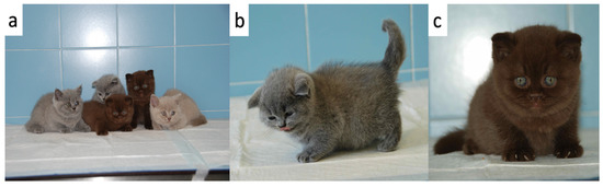 Veterinary Sciences | An Open Access Journal from MDPI