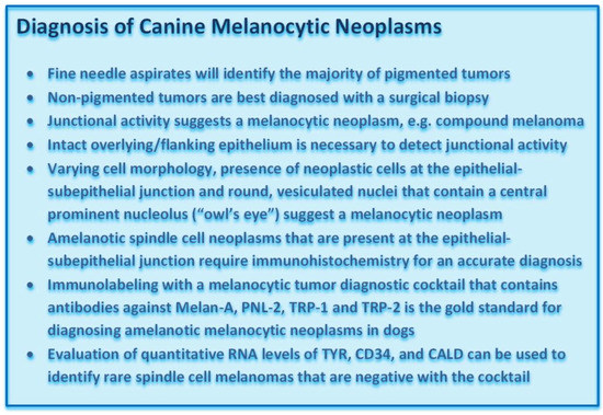 Diagnosis and Prognosis of Canine Melanocytic Neoplasms