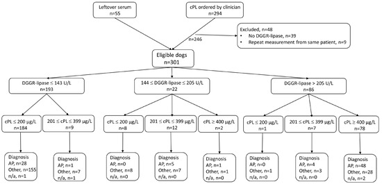 What Is The Normal Amylase Level In Dogs