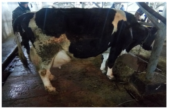 Prevalence, Diagnosis and Improving the Effectiveness of Therapy of ...