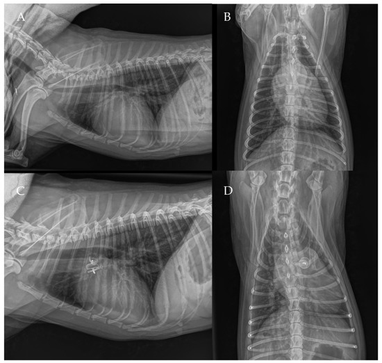 Veterinary Sciences | An Open Access Journal from MDPI