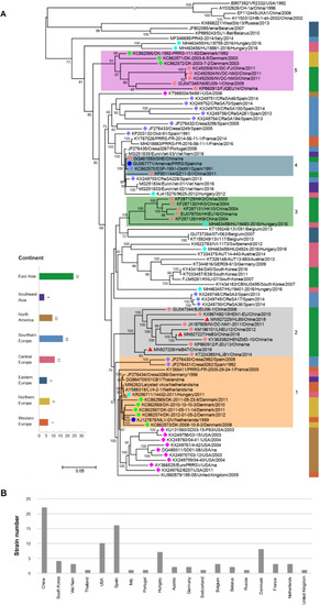 Genomic Analysis of Porcine Reproductive and Respiratory Syndrome Virus ...