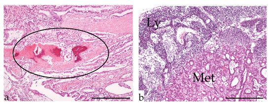 Veterinary Sciences | Free Full-Text | Pathological Findings in ...