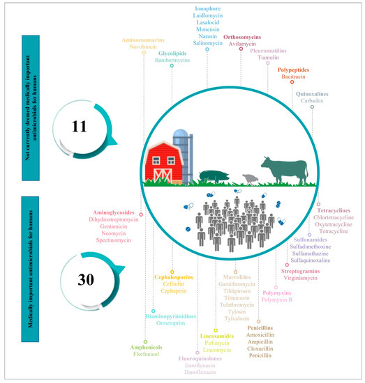 Current Insights Regarding the Role of Farm Animals in the Spread of ...