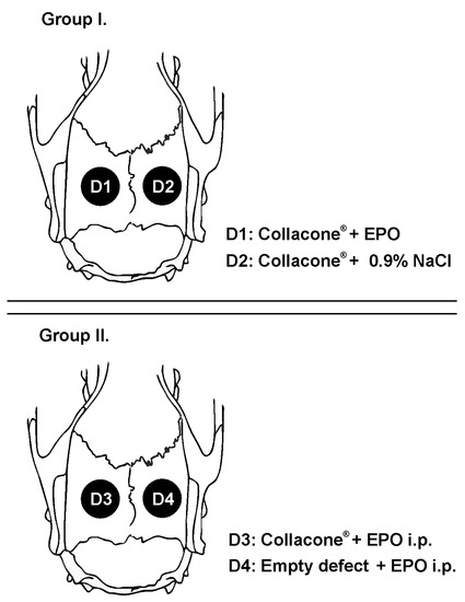 Diagnostic Imaging Studies on Local and Systemic Erythropoietin ...