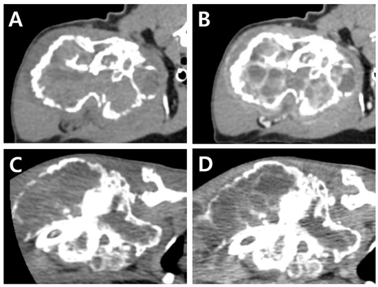 Humeral Aneurysmal Bone Cyst in a Cat with Sequential Computed ...