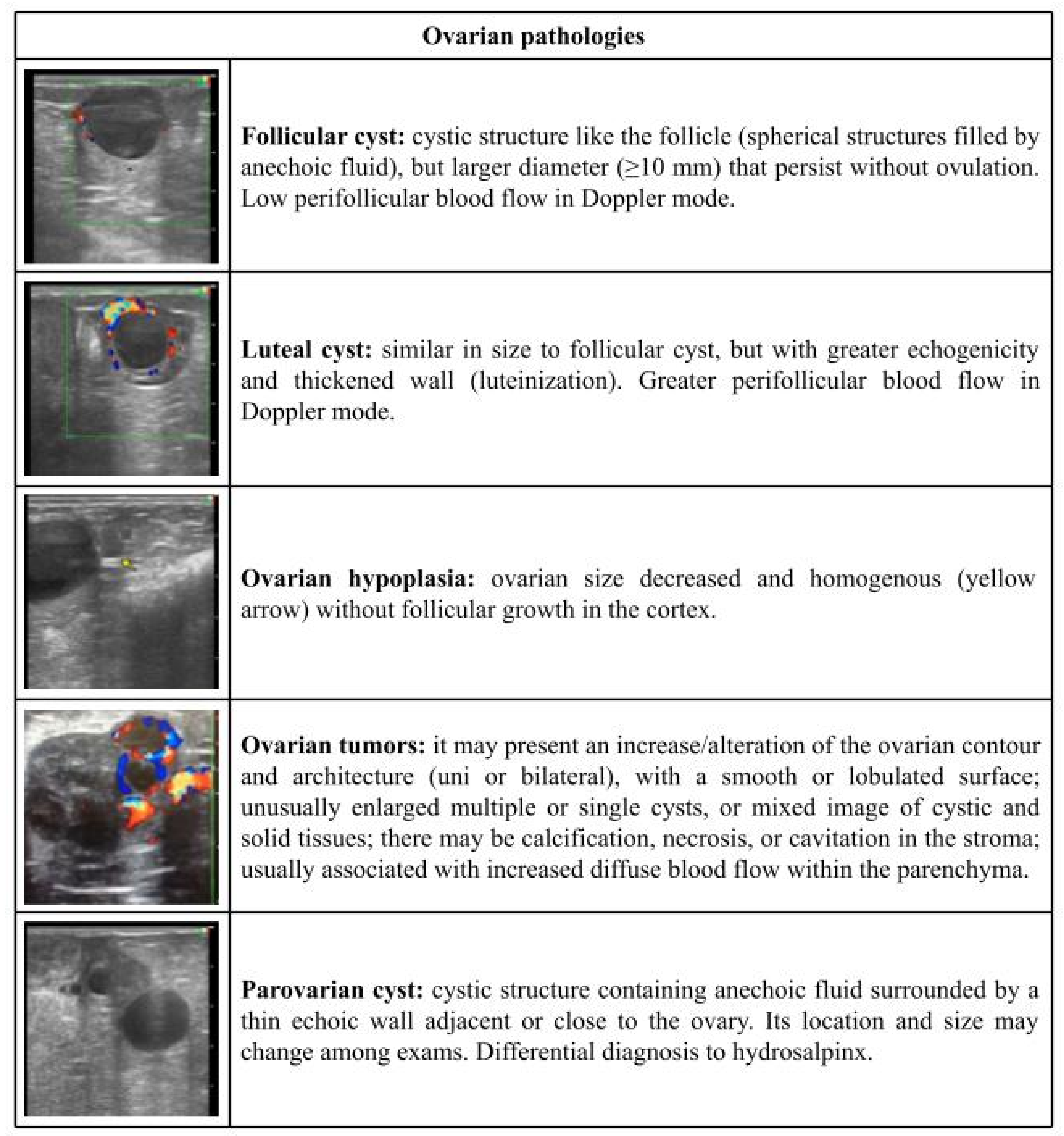 Ultrasound Diagnosis in Small Ruminants: Occurrence and Description of ...