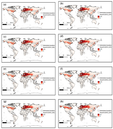Climate Change Influences the Spread of African Swine Fever Virus