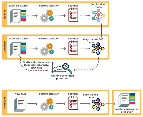 Veterinary Sciences | Free Full-Text | A Review of Radiomics and ...