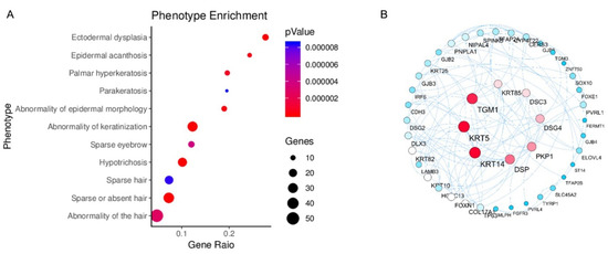 Transcriptome Analysis Reveals Genes Contributed to Min Pig Villi Hair ...